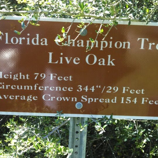 Cellon Oak Park - Gainesville, FL