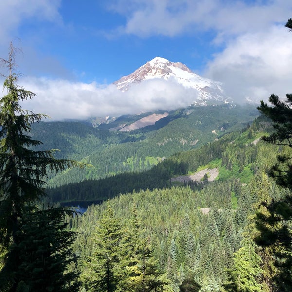 Zig Zag Mountain - Mountain in Rhododendron