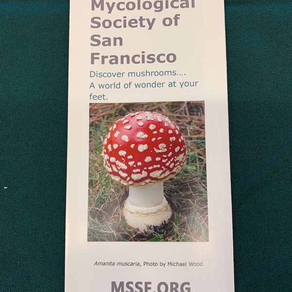 Photos at San Francisco County Fair Building - Golden Gate Park - 1 tip