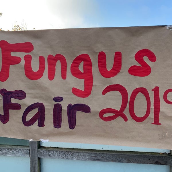 Photos at San Francisco County Fair Building - Golden Gate Park - 1 tip