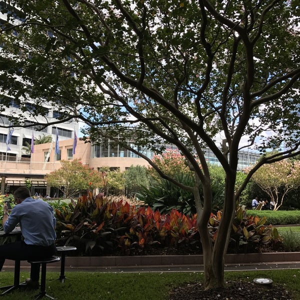 Photos at Darling Park - Sydney City Center - 7 tips