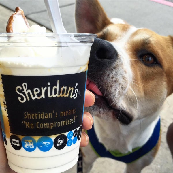 Sheridan’s Frozen Custard - 24 tips