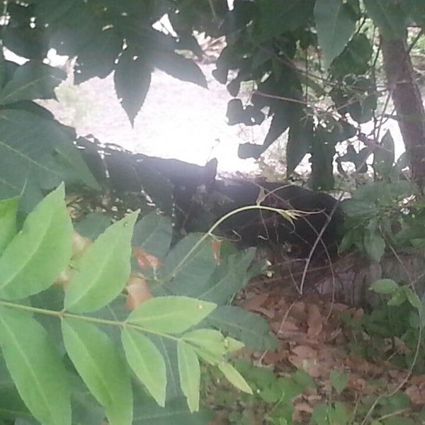 Photos at Clark Field - Field in Austin