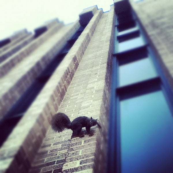 Ralph W. Steen Library - Nacogdoches, TX