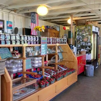 Swanton Berry Farm - Davenport, CA