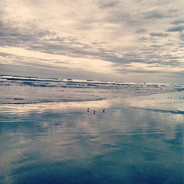 Gearhart Beach - Beach