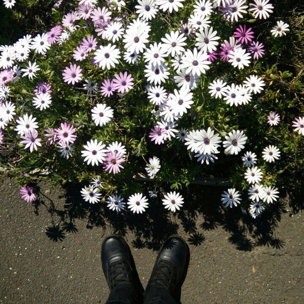 RAAF Williams Laverton Base - Military Base