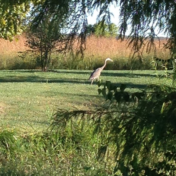Rotary Arboretum - Garden in Lawrence