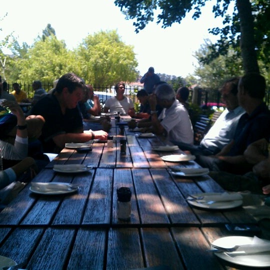 The Hollow Tree - 4 tips from 62 visitors