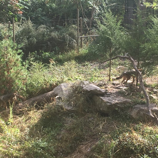 Photos at Bear Mountain Zoo and Trailsides Museum - 18 tips from 1038 ...