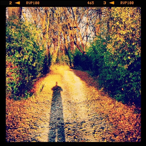 Westwood Hills Nature Center - Nature Preserve in Saint Louis Park
