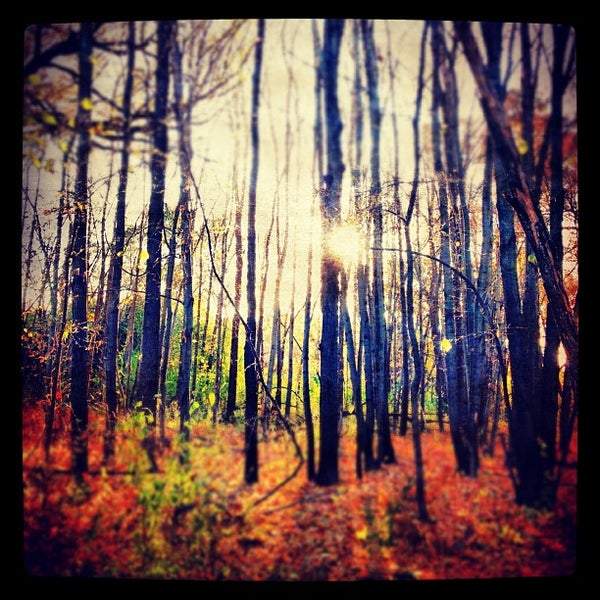 Westwood Hills Nature Center - Nature Preserve in Saint Louis Park