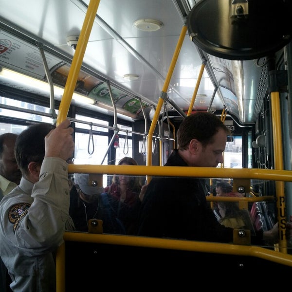 TTC Bus #81 - Thorncliffe Park - Bus Line in Toronto