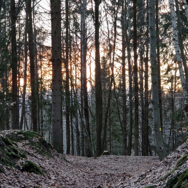 Bývalý Kamenolom Zatopeňák - 1 visitor