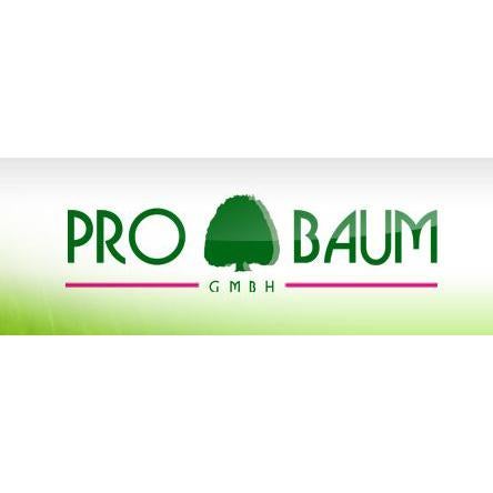 Pro Baum GmbH - Weststadt - Göttingen, NDS