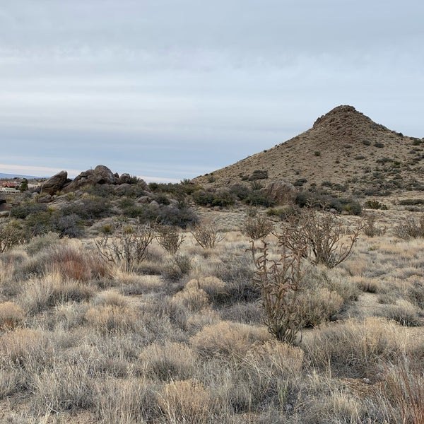 Sandia Foothills - Albuquerque, NM