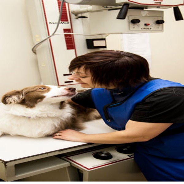 Headon Forest Animal Hospital - 6 tips from 13 visitors