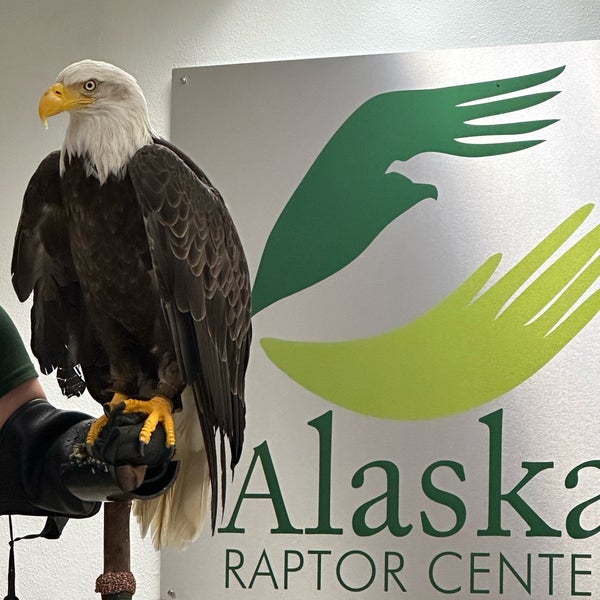 Alaska Raptor Center - Sitka, AK