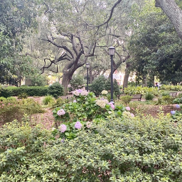 Photos at Forrest Gump's Bench (former location) - Historic District ...