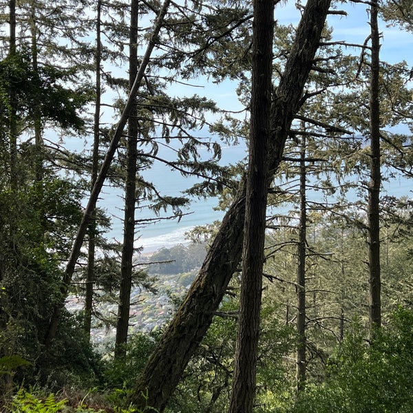 Steep Ravine Trail - 1 tip from 269 visitors