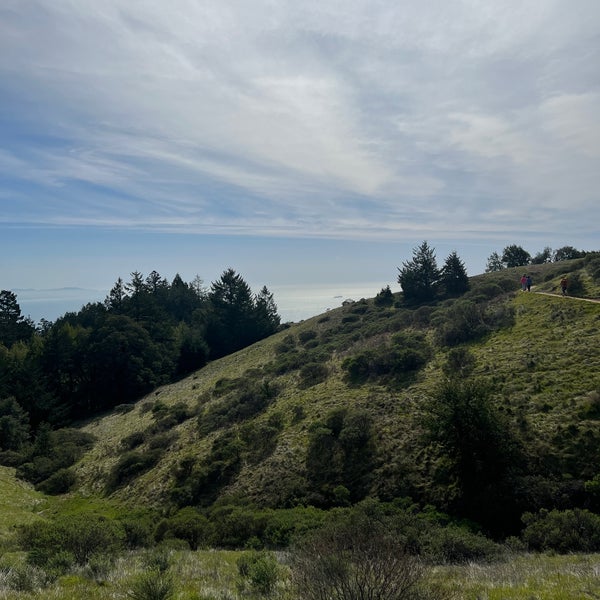 Steep Ravine Trail - 1 tip from 263 visitors