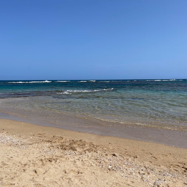 Shacks Beach - 16 tips from 214 visitors