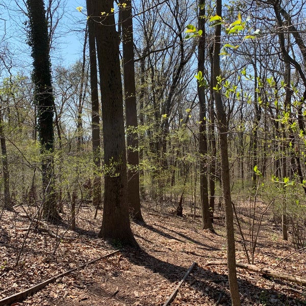 High Rock Park - East Shore - 3 tips