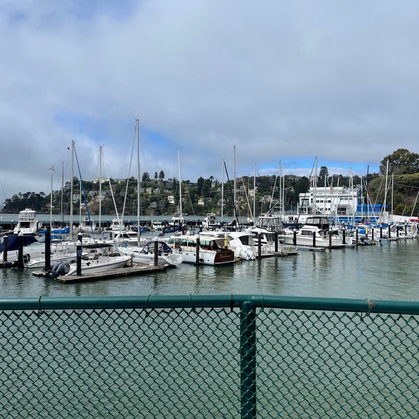 Angel Island Tiburon Ferry - Boat or Ferry