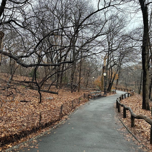Photos at The Ramble - Central Park - New York, NY