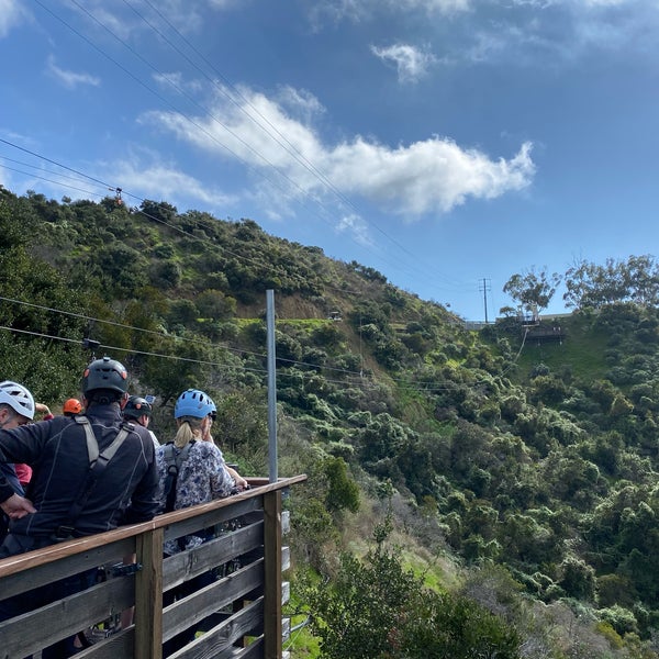 Zip Line Eco Tour - Other Great Outdoors in Avalon