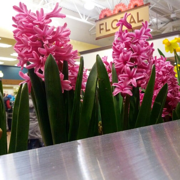 Fortinos Flowers Burlington Ontario | Best Flower Site