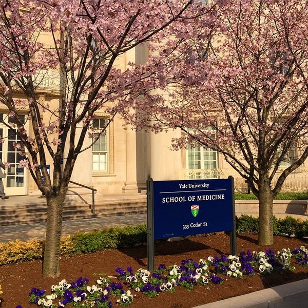 Yale Medical School