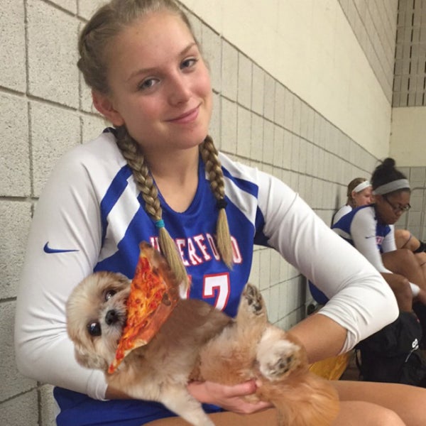 Waterford High School - Waterford, CT