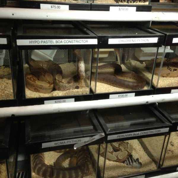 East Bay Vivarium - Pet Store in Berkeley