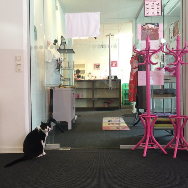 Café Miao (Now Closed)