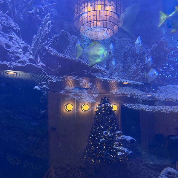 Saltwater Grill - 62 tips from 1177 visitors