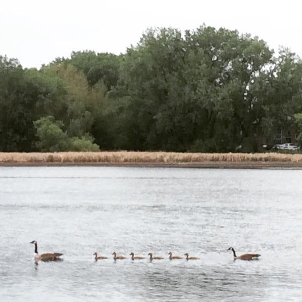 Ryan Lake Public Fishing Pier - Minneapolis, MN