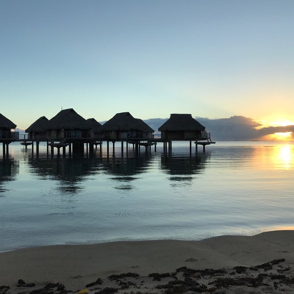 Moorea Pearl Resort and Spa - Resort in Maharepa