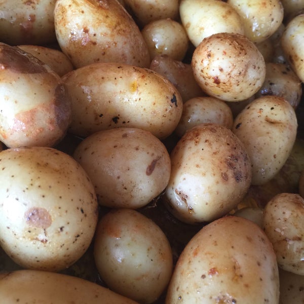 El Pollo Choncho - Fried Chicken Joint