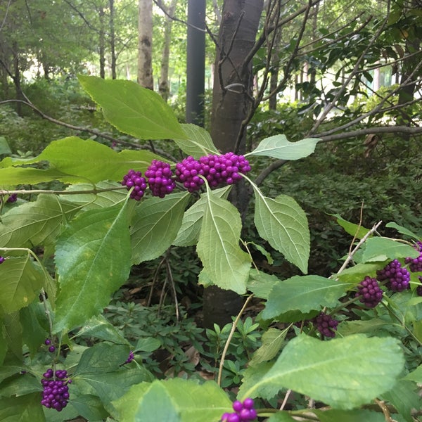 Photos at BP Helios Plaza - Office in Houston