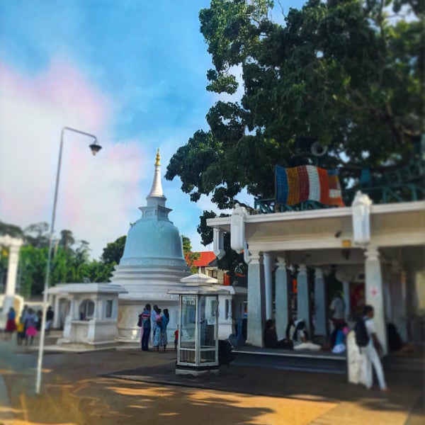 Matara Bodhiya - 6 tips