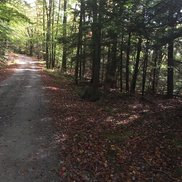 Beckley Bog - Norfolk, CT