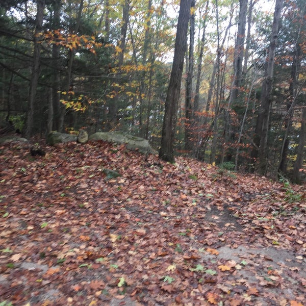 Beckley Bog - Norfolk, CT