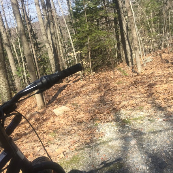 Beckley Bog - Norfolk, CT