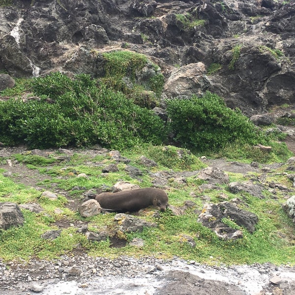 Cape Palliser - Other Great Outdoors in Wairarapa