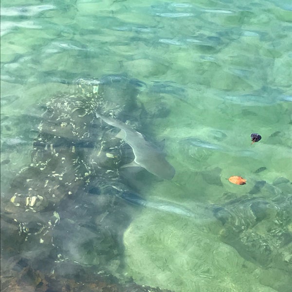 Gem Island Resort & Spa Resort - Beach