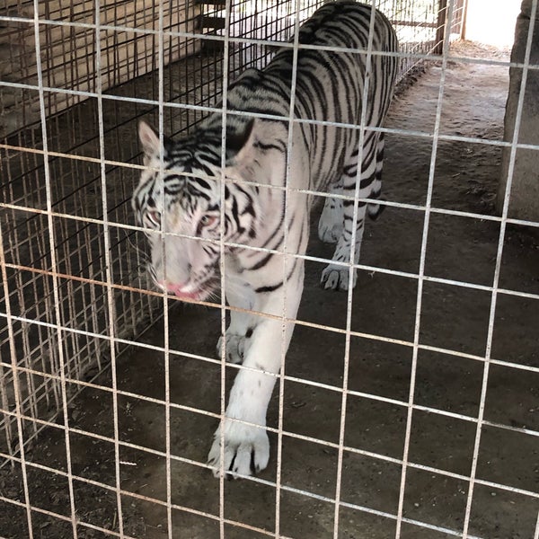 G.W. Exotic Animal Park - Zoo in Wynnewood