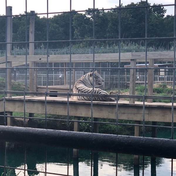 G.W. Exotic Animal Park - Zoo in Wynnewood