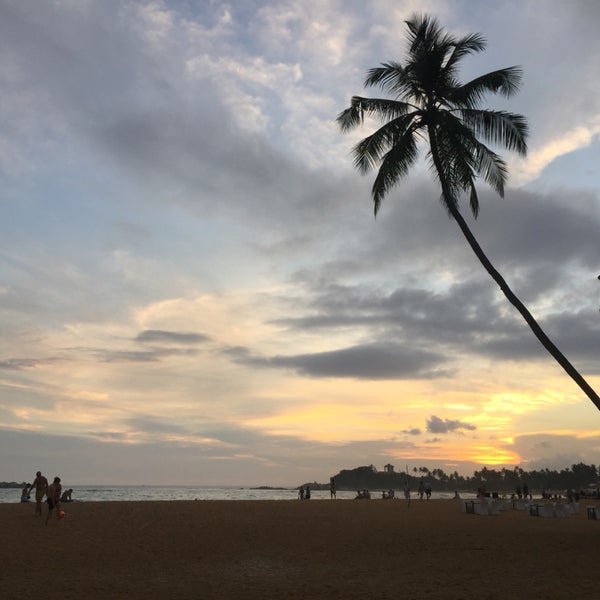 Unawatuna Beach Resort - 16 tips from 648 visitors