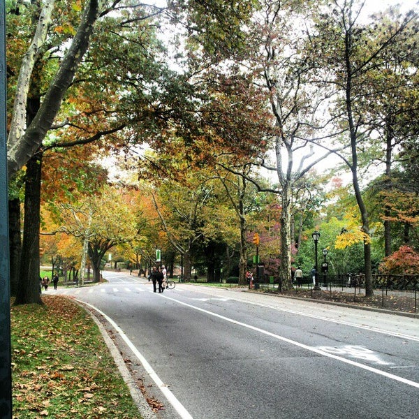 Photos at Arthur Ross Pinetum - Central Park - Central Park W